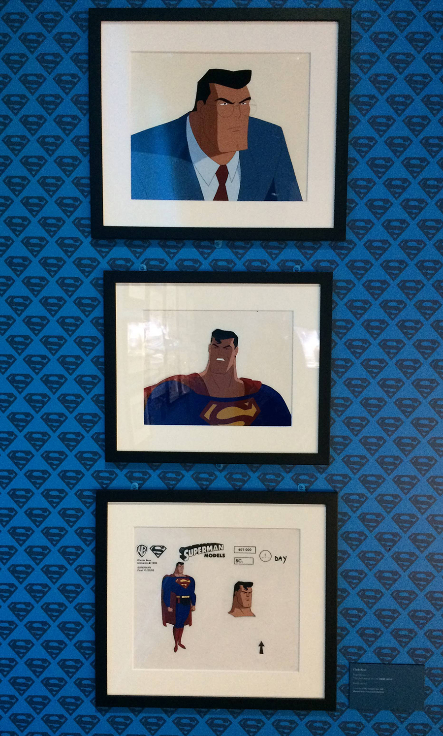 DC Comics – The Art of Superheroes – Charlotte Iggulden Art